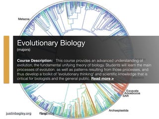 Teaching Summary | PPT