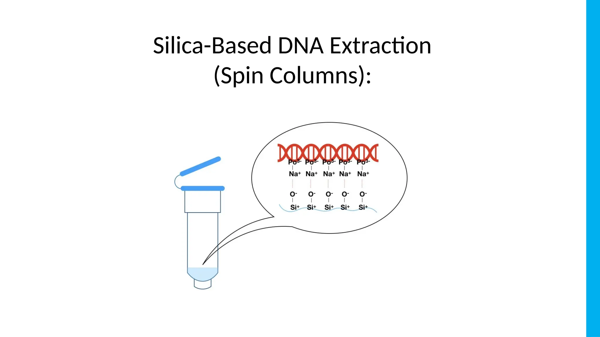 Deoxyribonuclease extraction protocols2.pptx