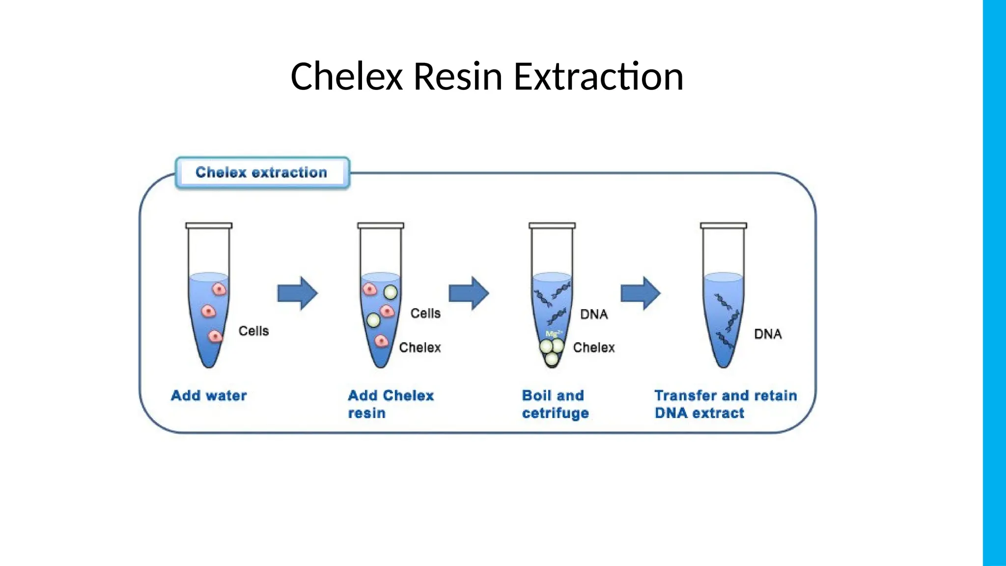 Deoxyribonuclease extraction protocols2.pptx