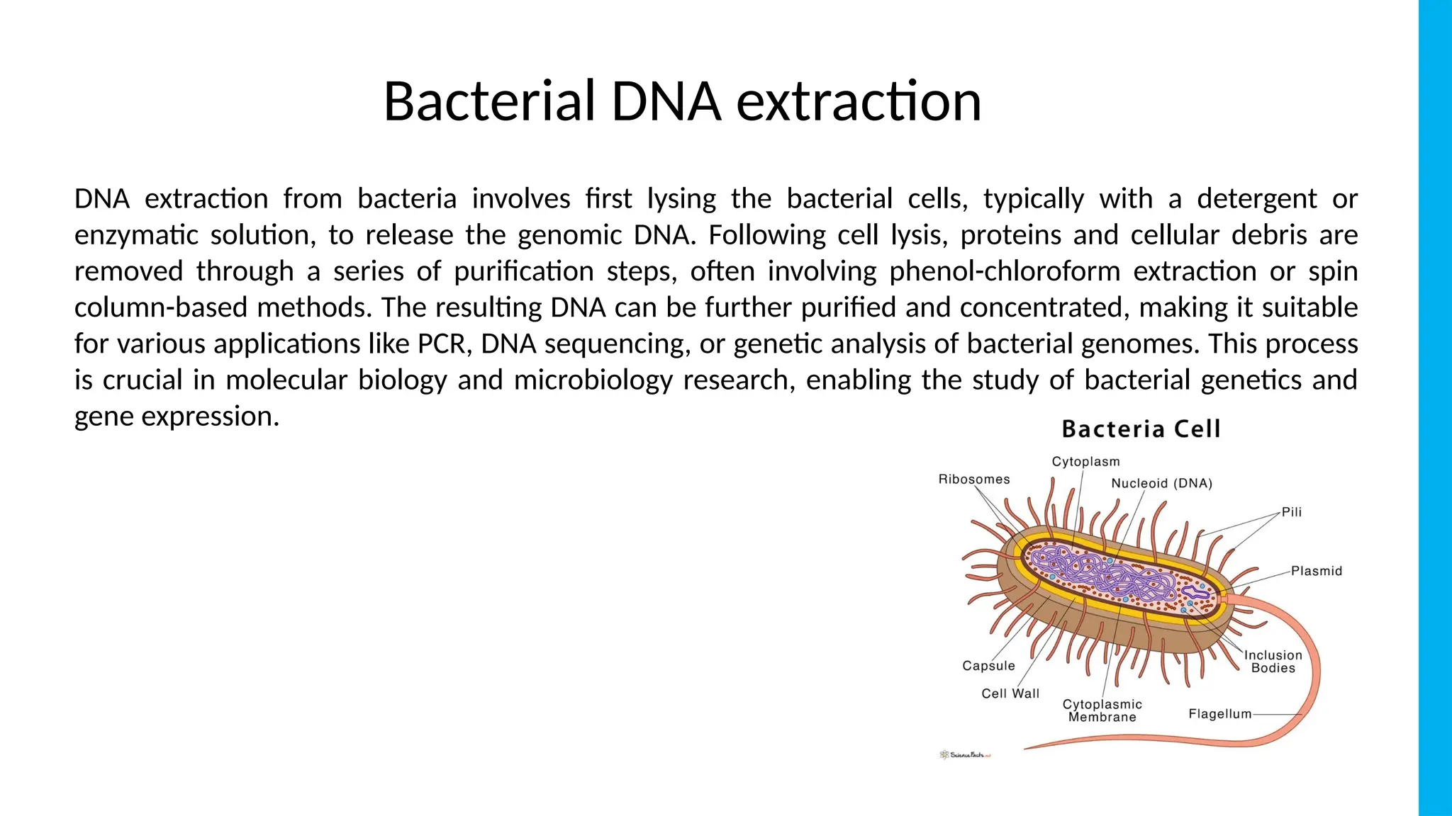 Deoxyribonuclease extraction protocols2.pptx