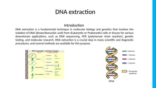 Deoxyribonuclease extraction protocols2.pptx | Biological Sciences | Science