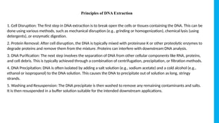 Deoxyribonuclease extraction protocols2.pptx | Biological Sciences | Science