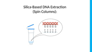 Deoxyribonuclease extraction protocols2.pptx