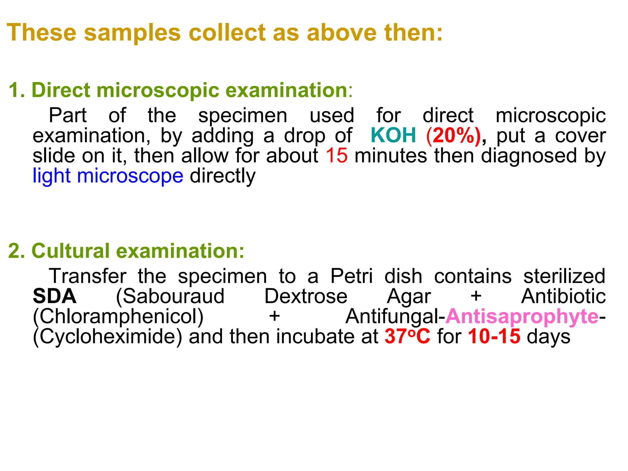 isolation of fungi for microbiology undergraduate .ppt
