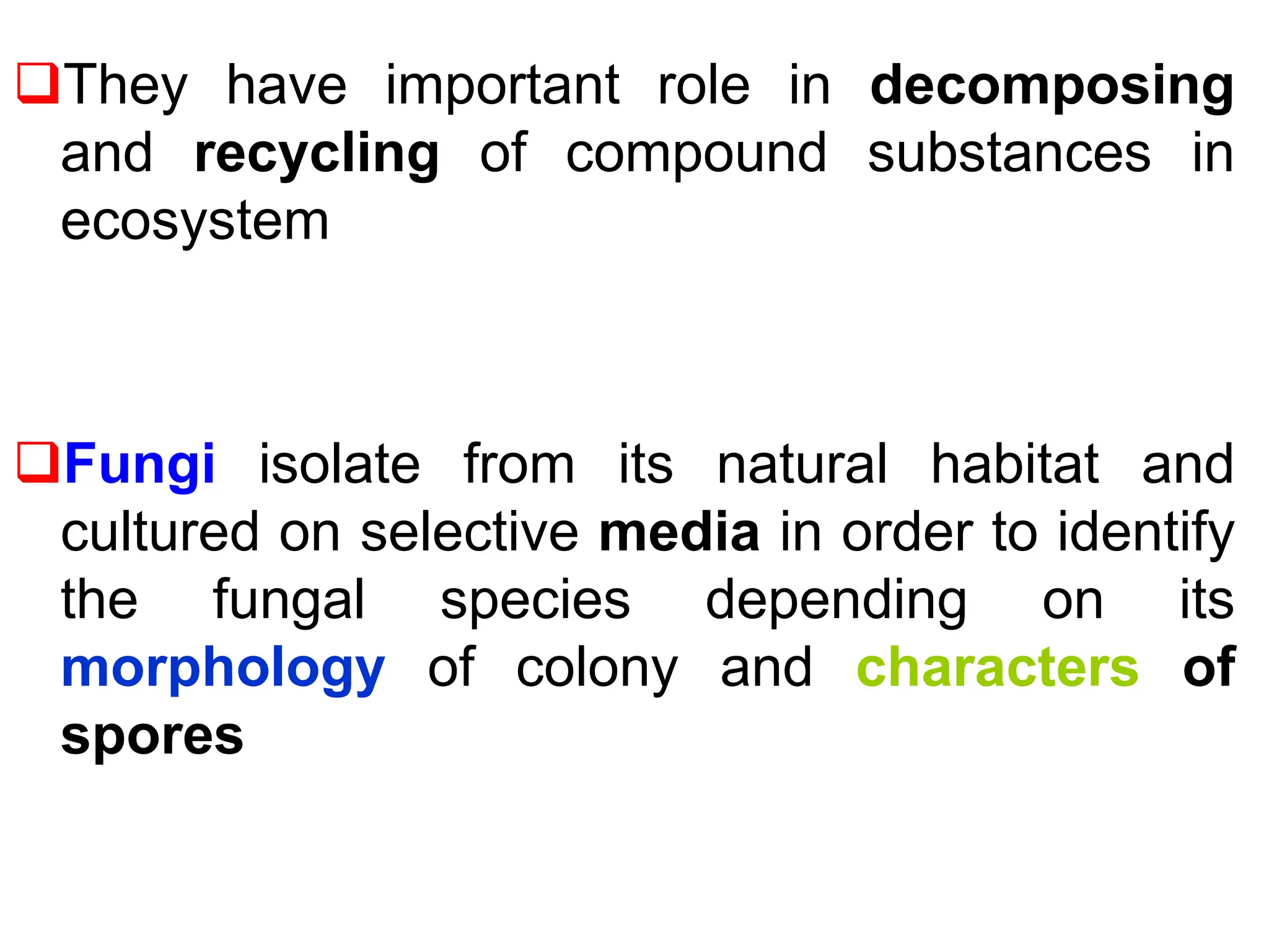 isolation of fungi for microbiology undergraduate .ppt
