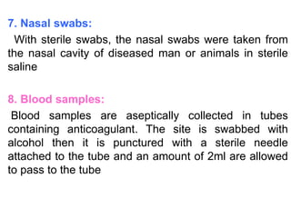 isolation of fungi for microbiology undergraduate .ppt