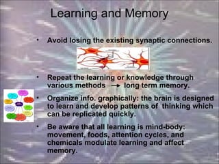 Teaching EFL with the Brain in mind | PPT