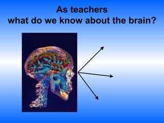 Teaching EFL with the Brain in mind | PPT