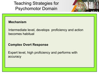 Teaching strategies for educators and alike | PPT