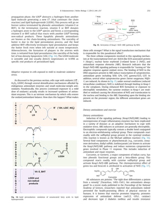 Teaching the-basics-of-redox-biology-to-medical-and-graduate-students-oxidants-antioxidants-and ...