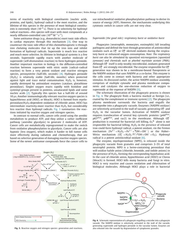 Teaching the-basics-of-redox-biology-to-medical-and-graduate-students-oxidants-antioxidants-and ...