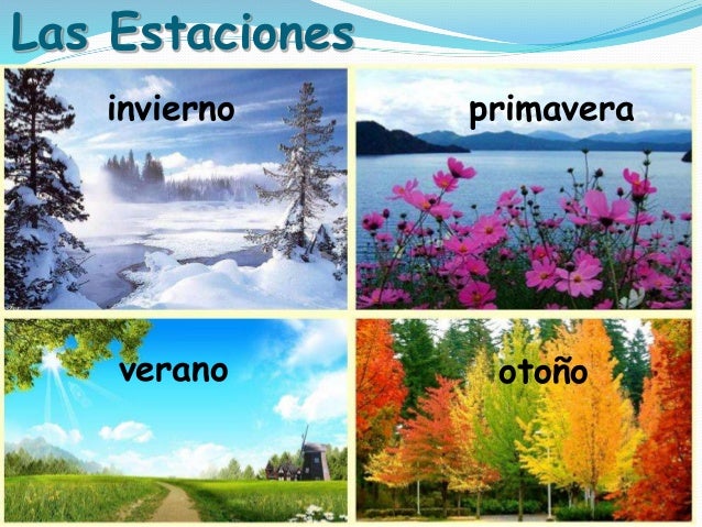 Teaching absolute beginners