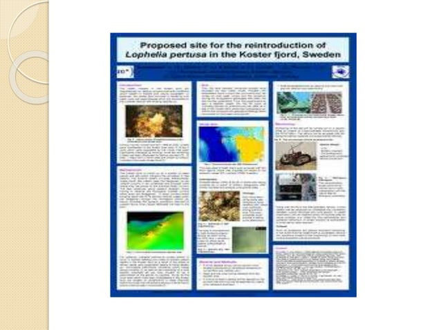 Teaching Aids | PPTX | Special Education | Education