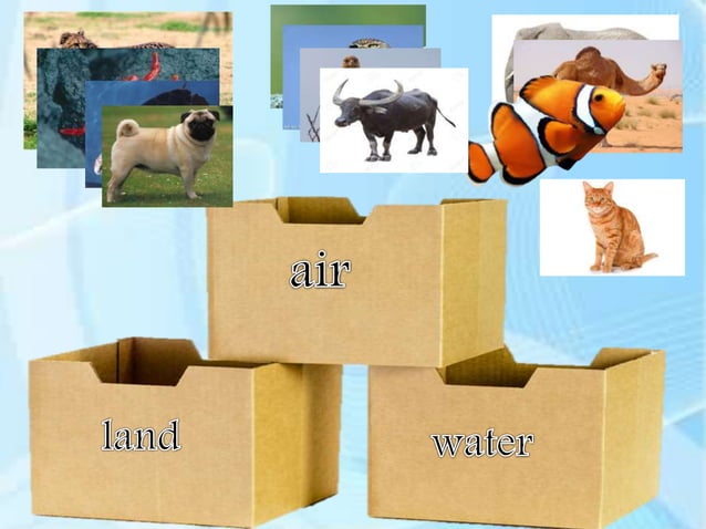 Teaching aids bank | PPTX