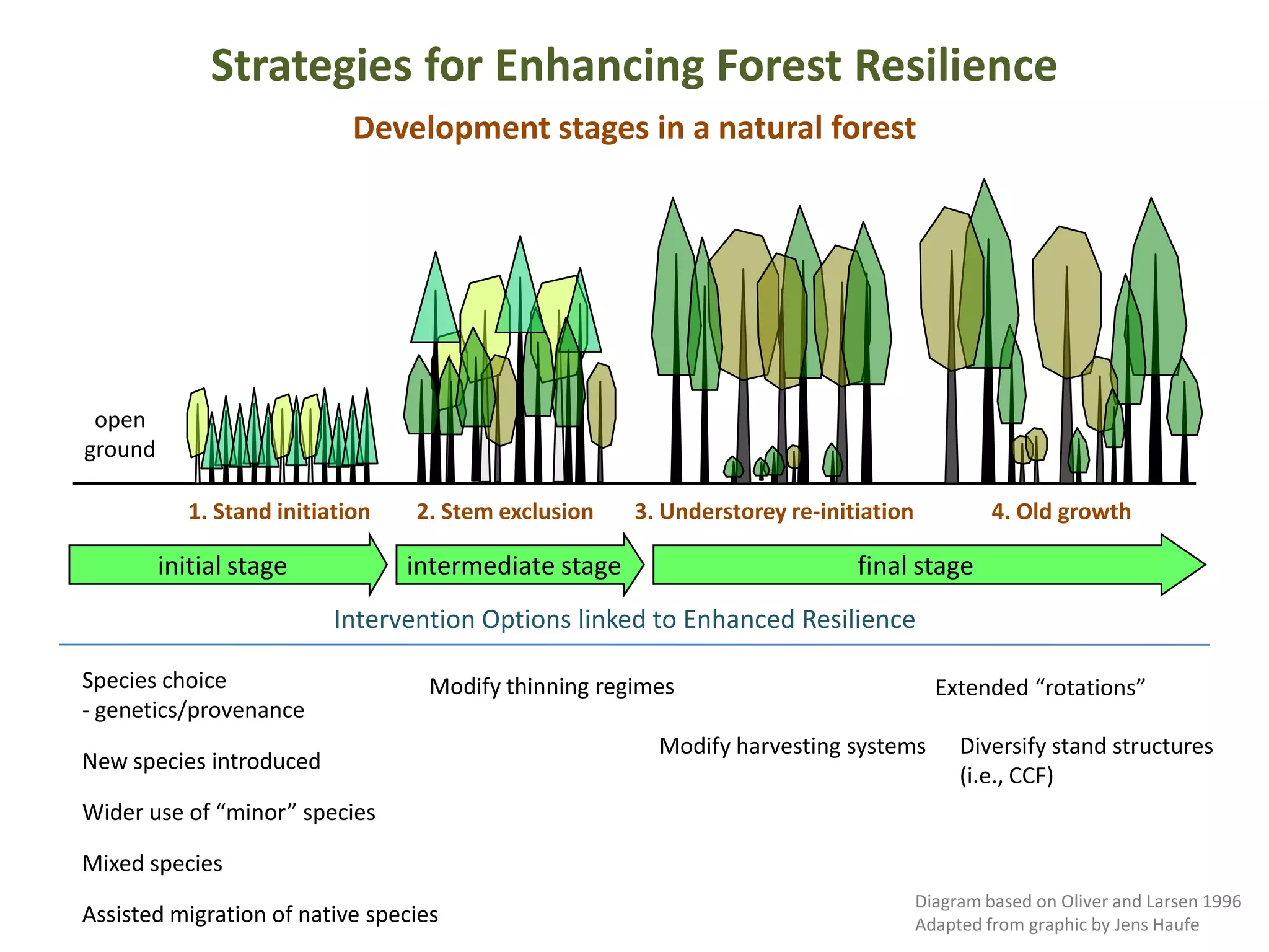 Teaching Forest Stand Dynamics | PDF