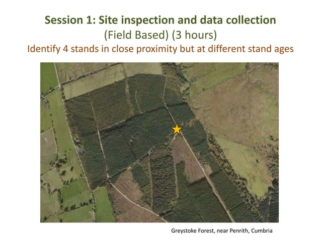 Teaching Forest Stand Dynamics | PDF