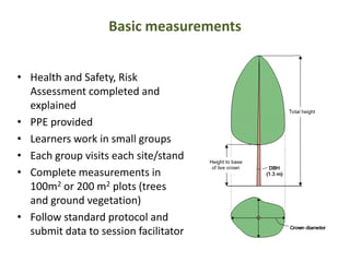 Teaching Forest Stand Dynamics | PDF