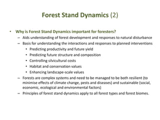 Forest Stand Development