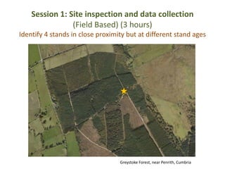 Teaching Forest Stand Dynamics | PPT