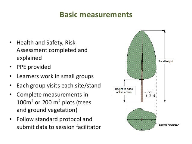 Teaching Forest Stand Dynamics