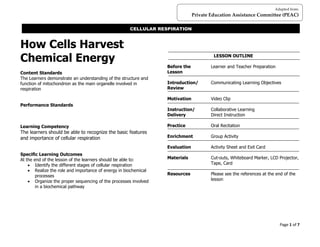 Teaching guide on Cellular respiration | PDF