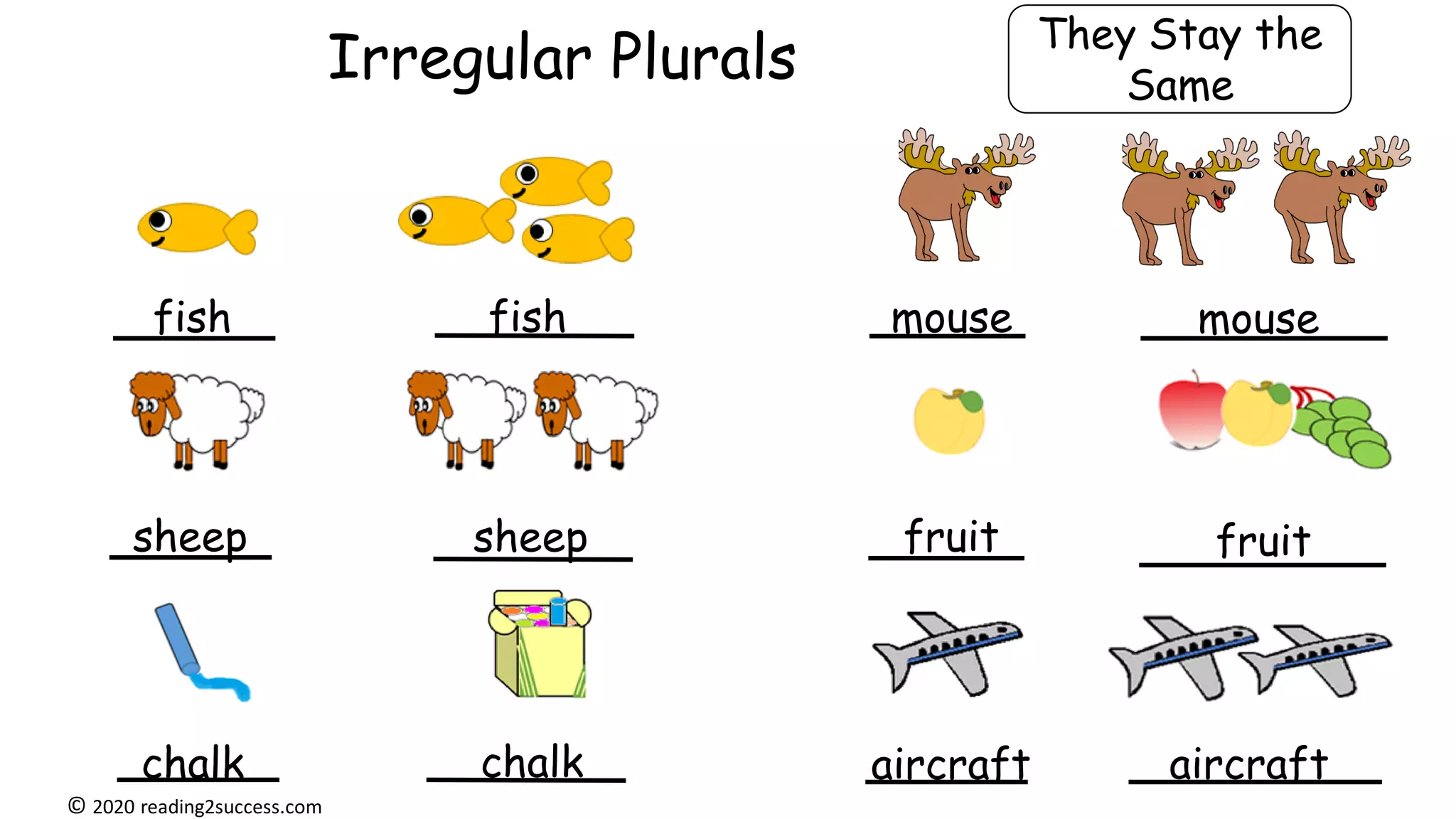 Teaching irregular plurals | PDF