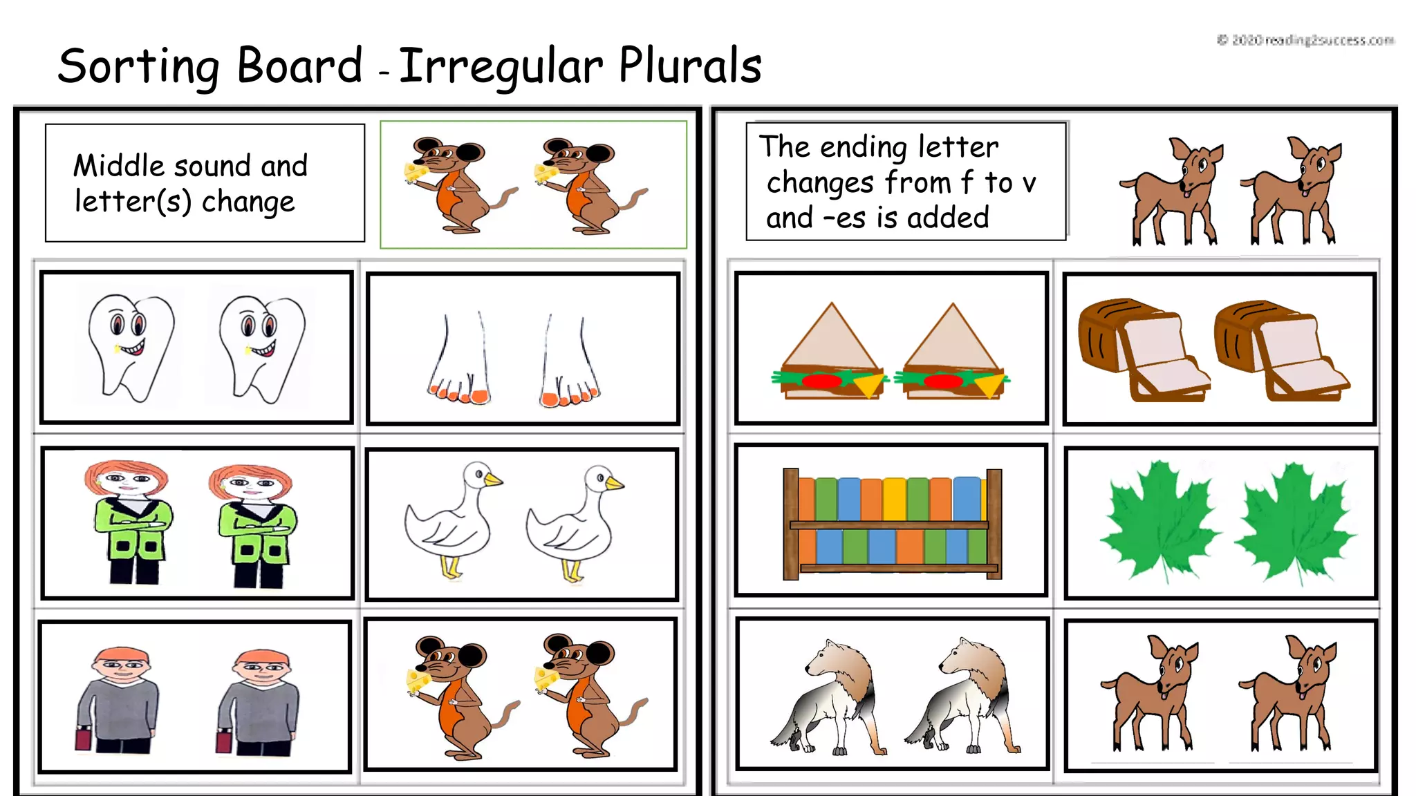 Teaching irregular plurals | PDF