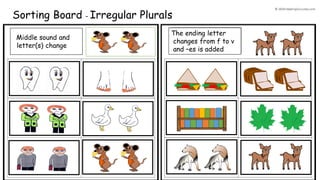 Teaching irregular plurals | PDF