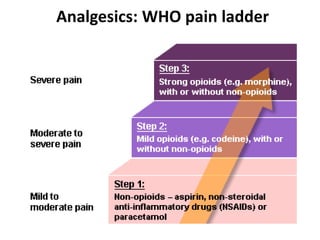 Teachingnurseinpainmanagement | PDF