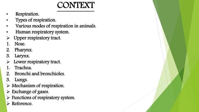 Respiration in animals. | PPTX | Ear, Nose and Throat Conditions ...