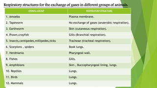 Respiration in animals. | PPTX