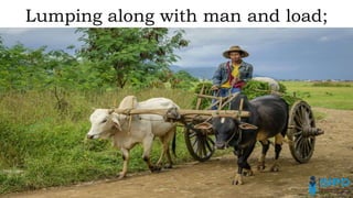 Teaching of poetry | PPT