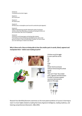 Teaching reading and spelling in your school | PDF
