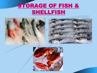Teaching Schedule12(flat fish and Oily fish, Crustaceans, Molluscs ...