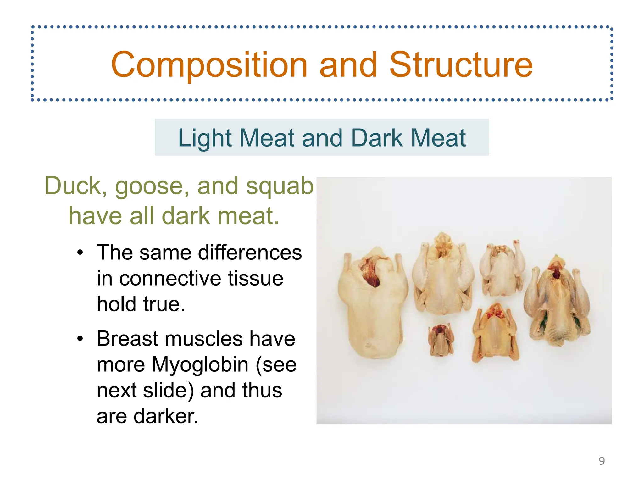 Teaching schedule 13 (Poultry meats, Classification and identification ...