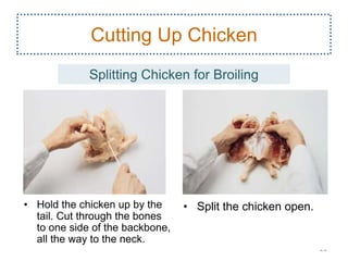 Teaching schedule 13 (Poultry meats, Classification and identification ...