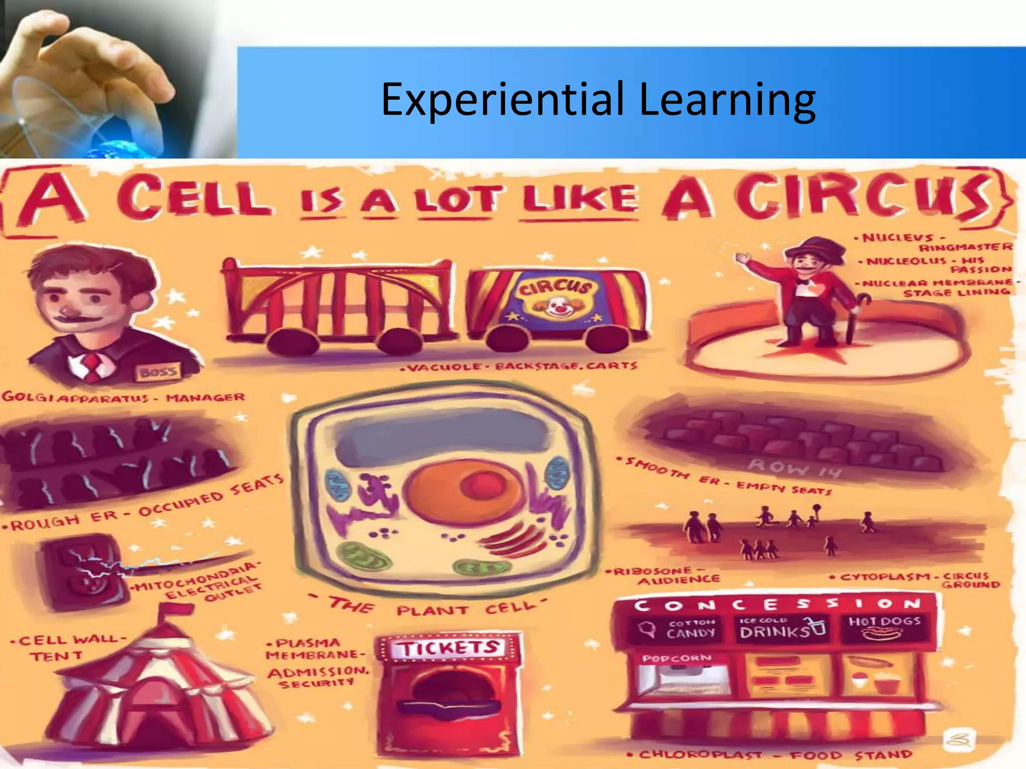 Theories, Approaches, Guiding Principles and Methods of Teaching ...