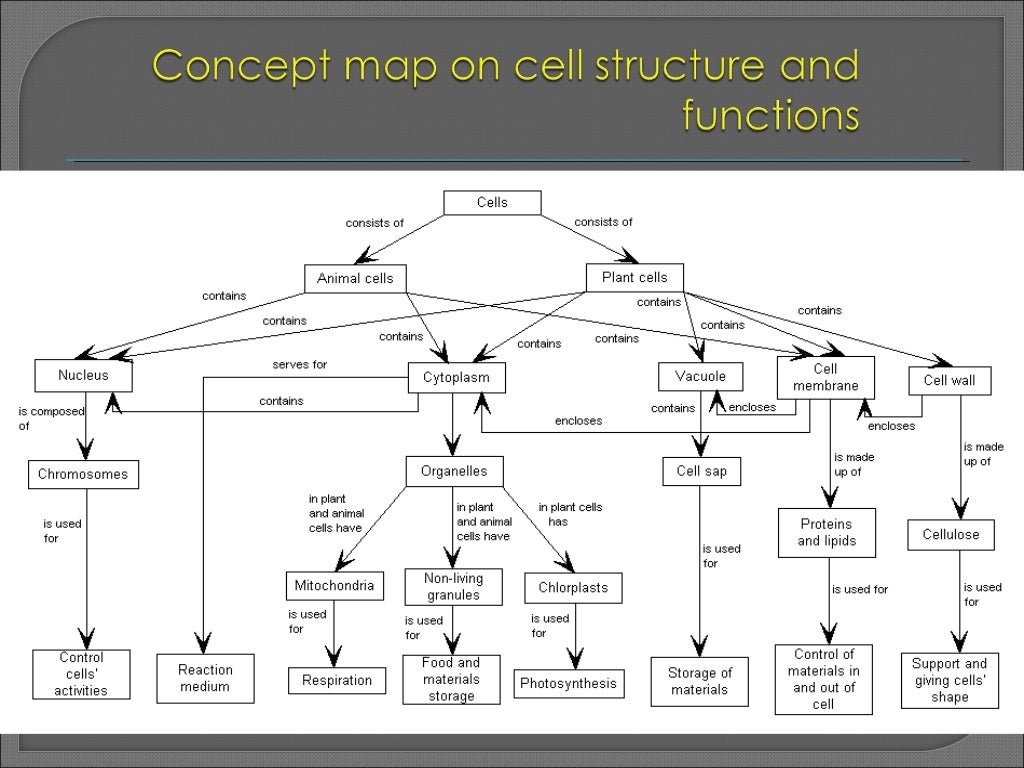 Teaching science using concept maps