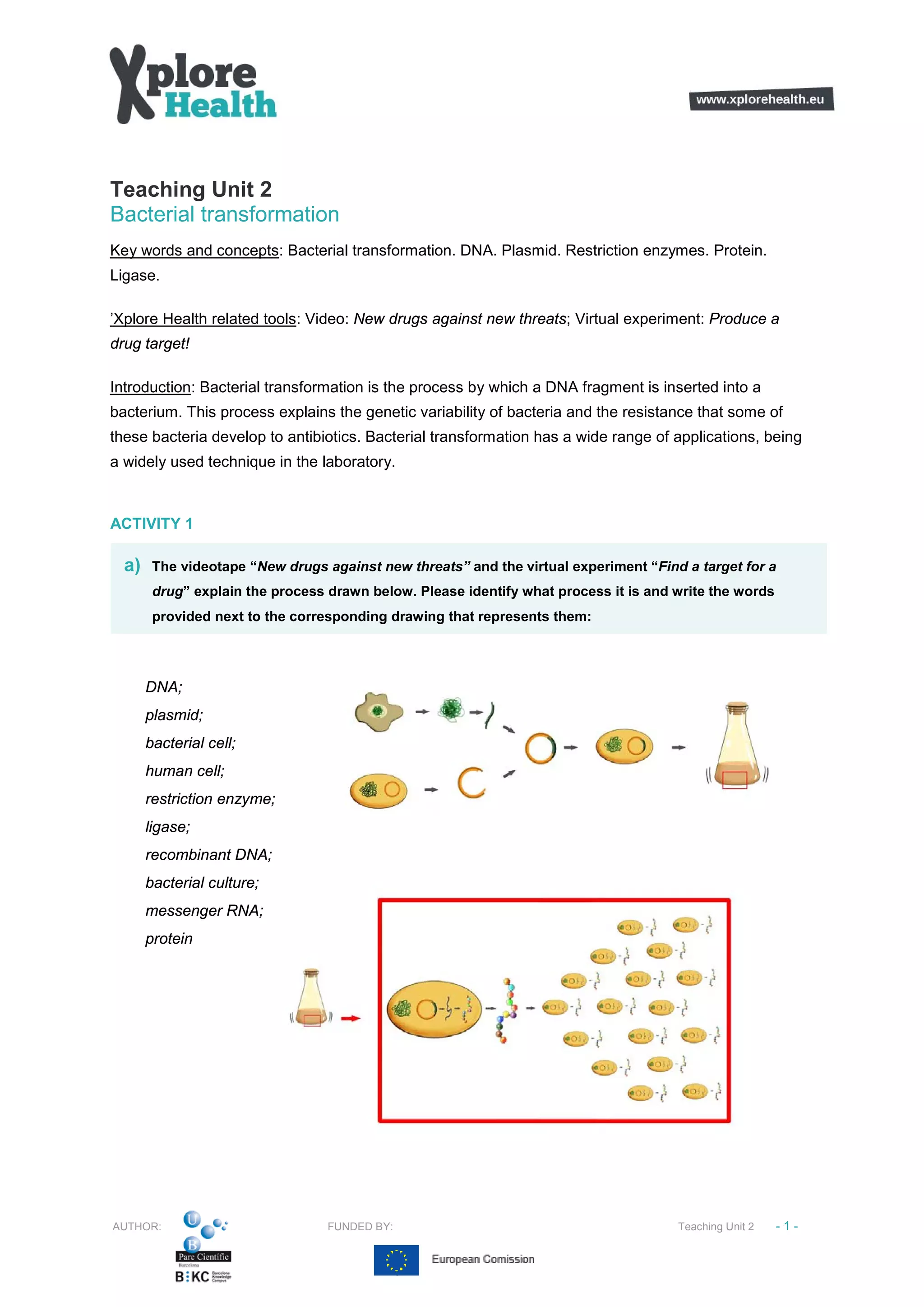 Bacterial transformation - Classroom activities | PDF