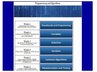 Teaching Universal Design in Computer Science | PPTX