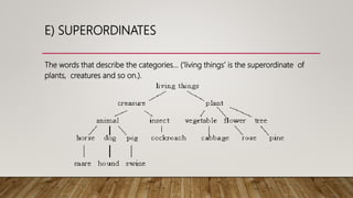 Teaching vocabulary | PPT