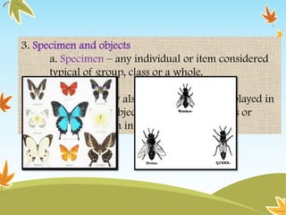 Presentation for Teaching with Contrive Experience.pdf | Free Download