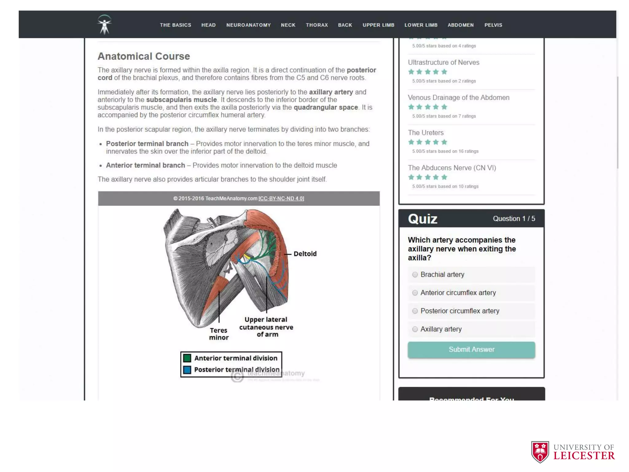 TeachMeAnatomy - AMEE 2016 Presentation - Oliver Jones | PPTX