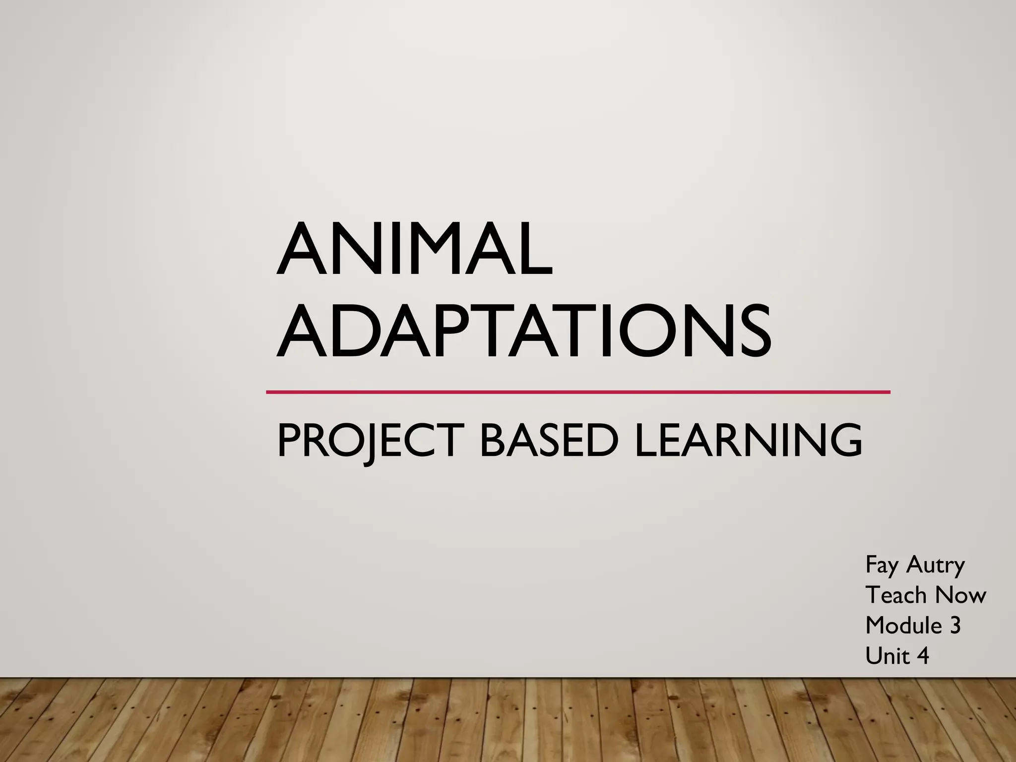 Animal Adaptations | PPT