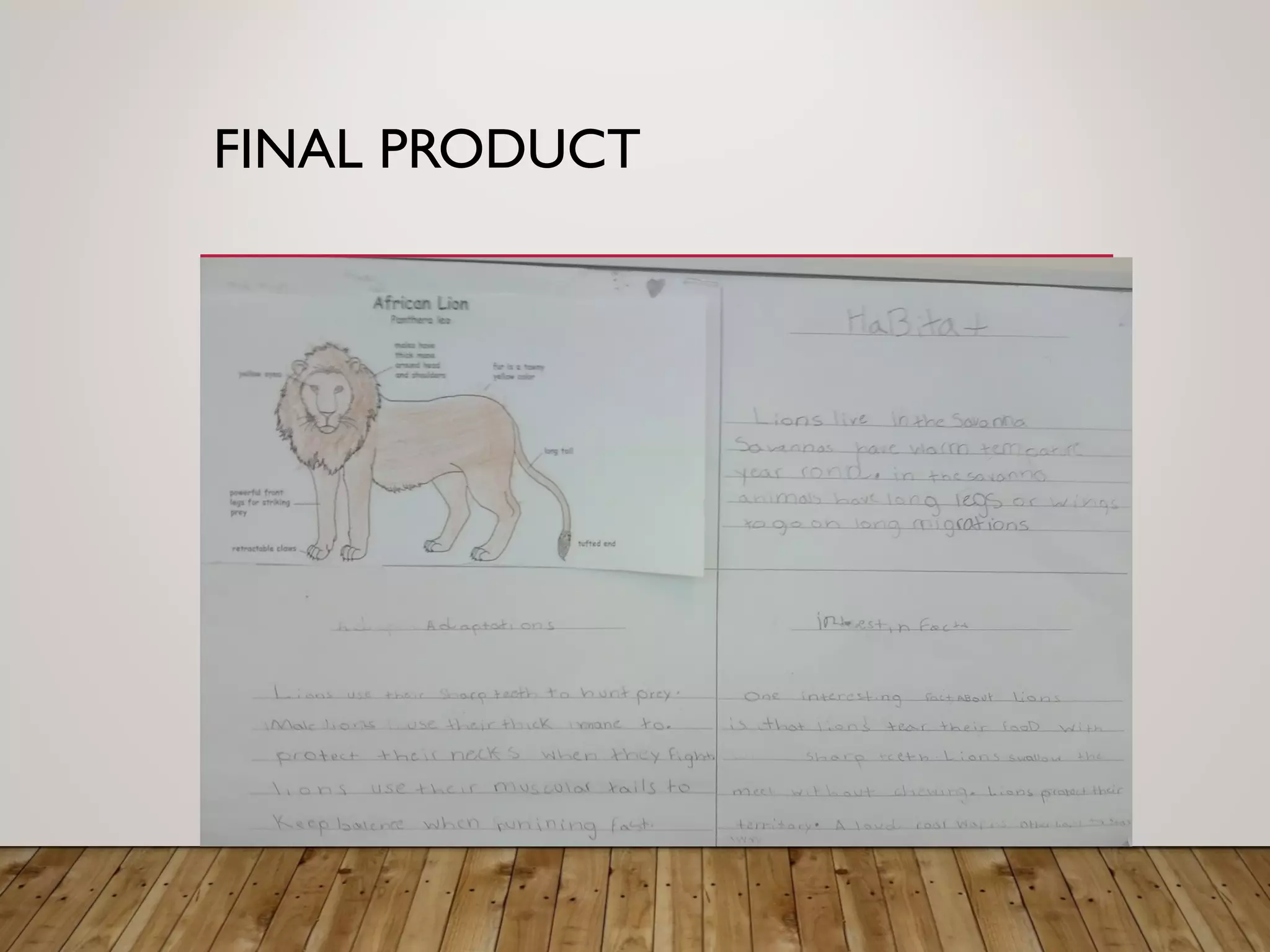 Animal Adaptations | PPT