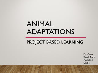 Animal Adaptations | PPT