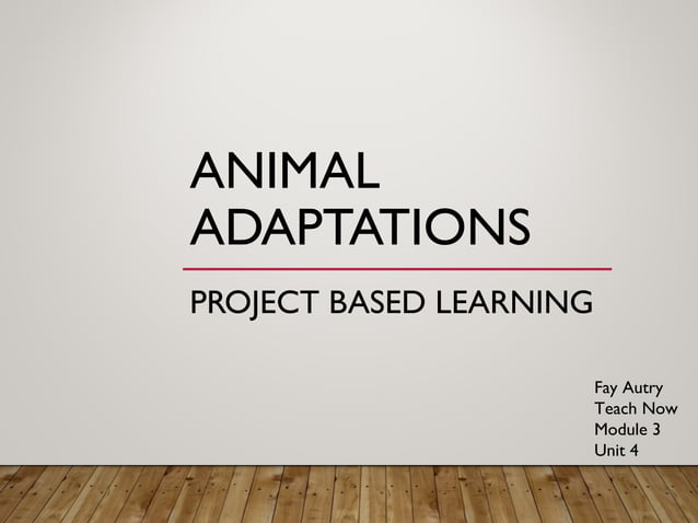 Animal Adaptations | PPT