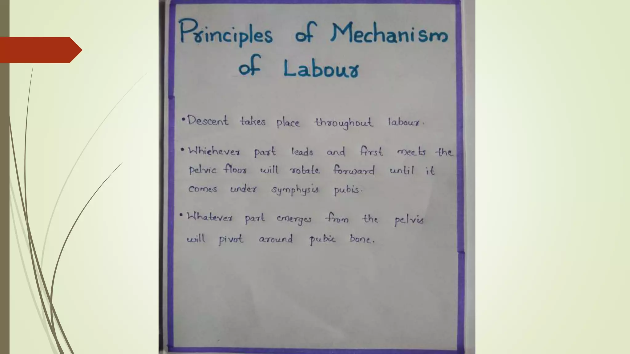 mechanism of labor | PPTX