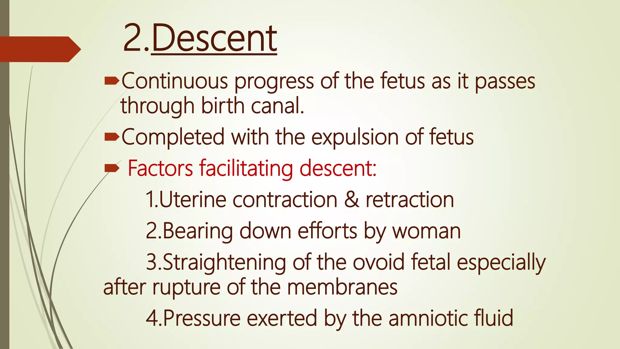 mechanism of labor | PPTX