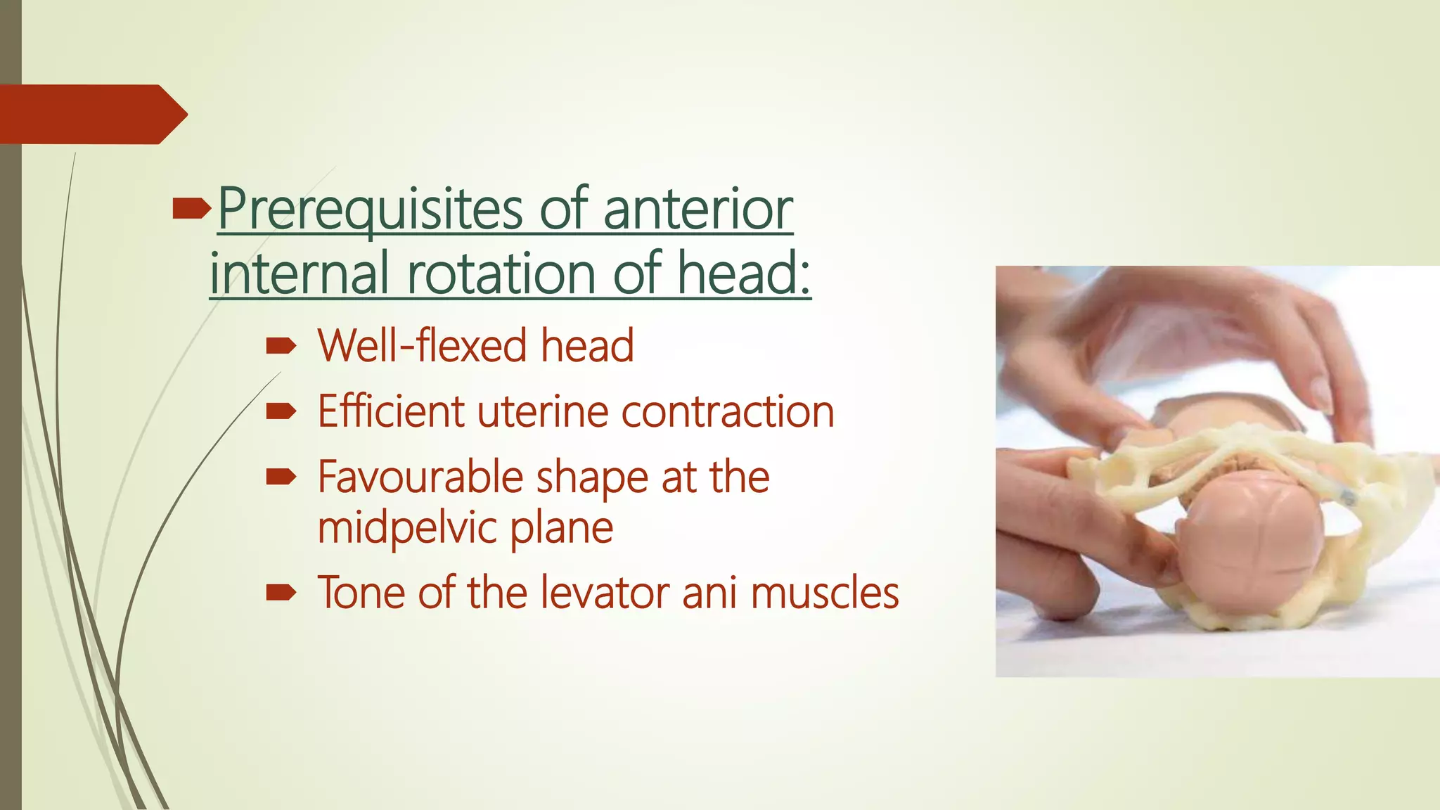 mechanism of labor | PPTX